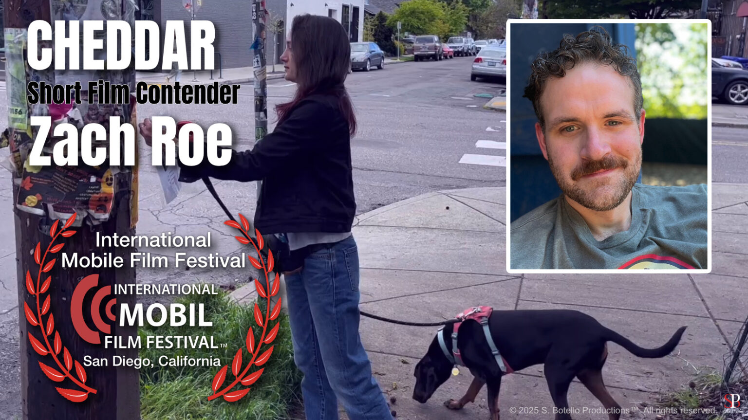 MFF | International Mobile Film Festival